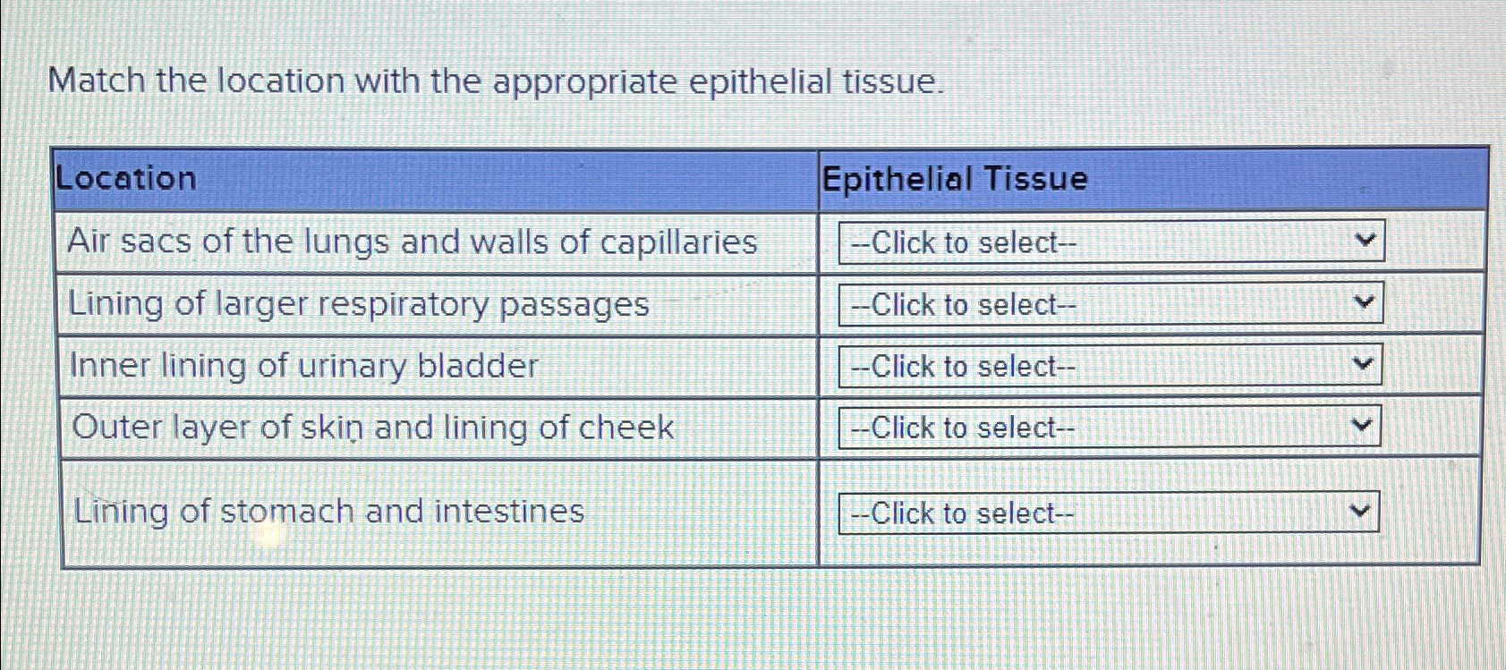 Solved Match the location with the appropriate epithelial | Chegg.com