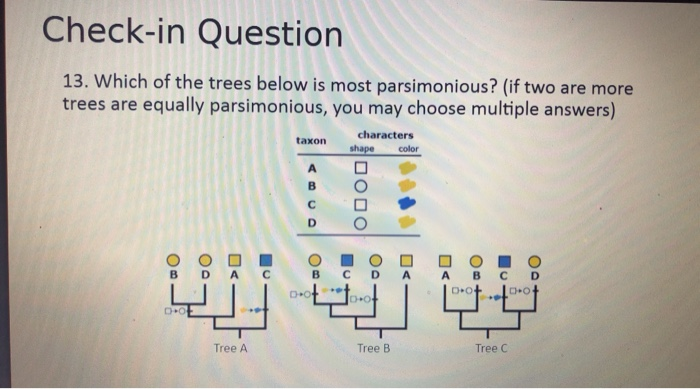 Solved Check-in Question 13. Which of the trees below is | Chegg.com