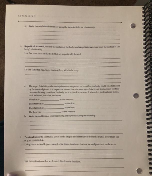 Solved Laboratory 1 Write two additional sentences using the | Chegg.com