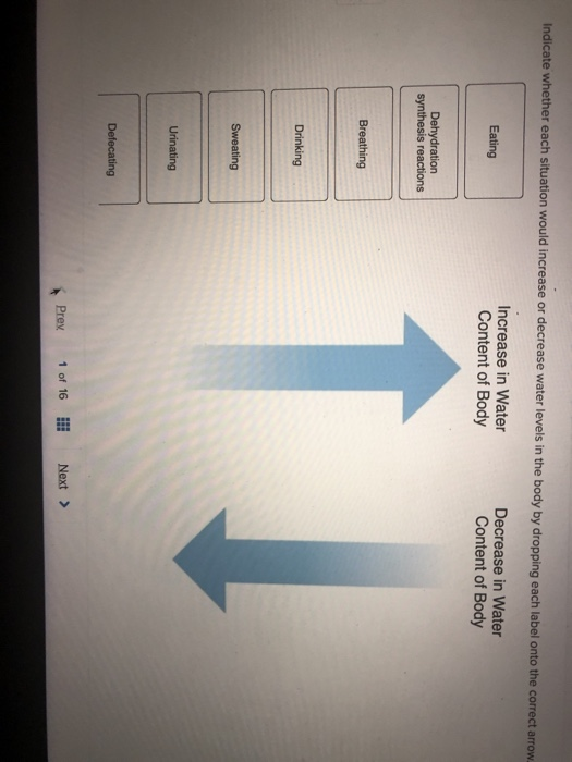 Solved Indicate whether each situation would increase or | Chegg.com