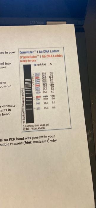 Using the GeneRuler 1kB DNA ladder, a. Analysis of | Chegg.com