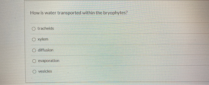 Solved How is water transported within the bryophytes? | Chegg.com