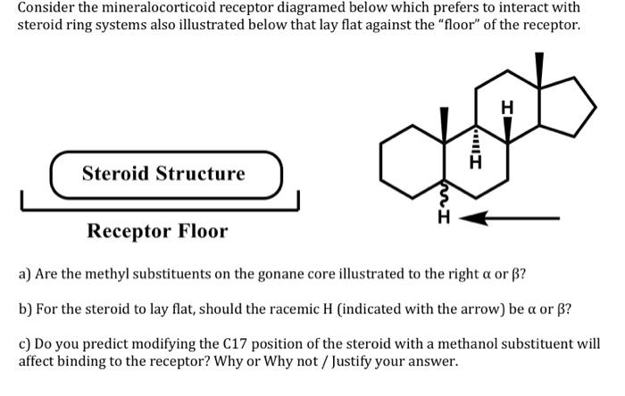 Solved Consider the mineralocorticoid receptor diagramed | Chegg.com