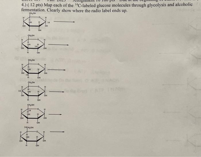 Solved 4.) ( 12pts ) Map each of the 14C-labeled glucose | Chegg.com