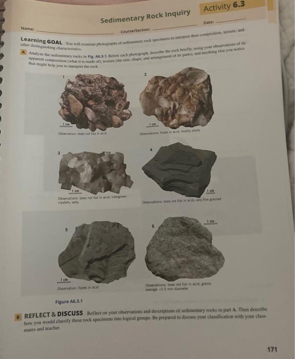 Solved Activity 6.3 Sedimentary Rock Inquiry Date Name | Chegg.com