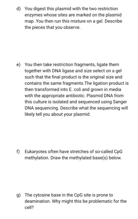 Solved Question 2: Methylation, Restriction Enzymes, and | Chegg.com