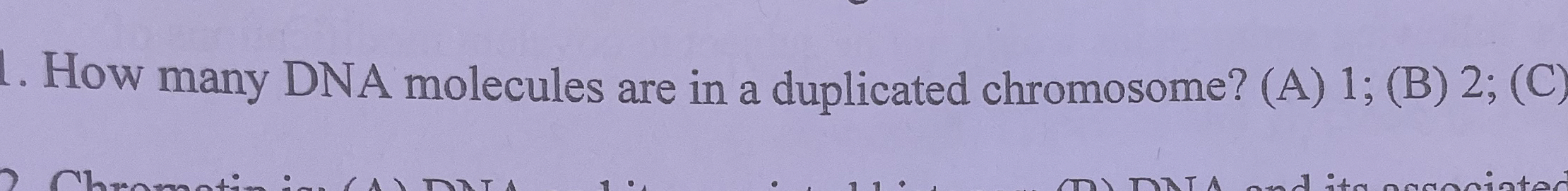 Solved How many DNA molecules are in a duplicated | Chegg.com