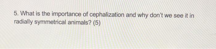 Solved 5. What is the importance of cephalization and why | Chegg.com