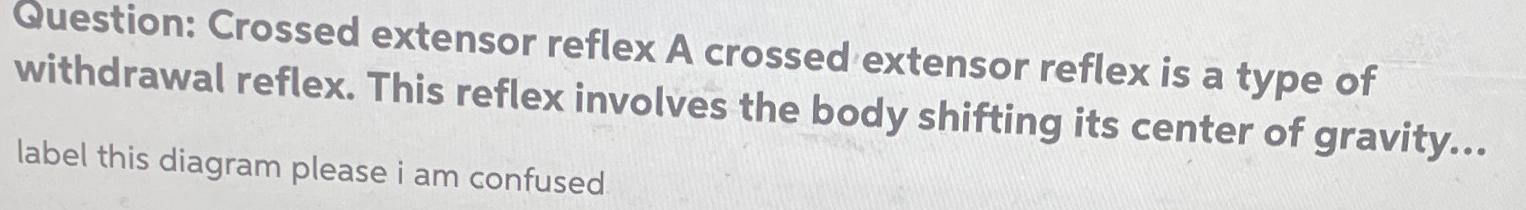 Solved Question: Crossed extensor reflex A crossed extensor | Chegg.com