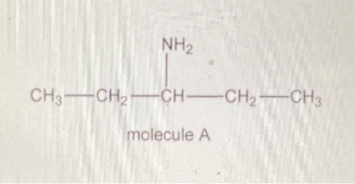 Solved NH2 CH3 -CH2-CH-CH2-CH3 molecule A | Chegg.com