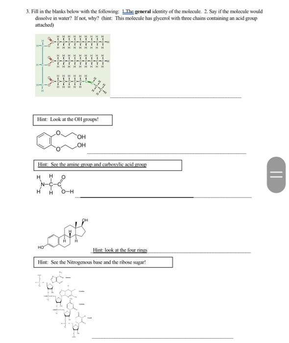 Solved 3. Fill in the blanks below with the following: 1The | Chegg.com