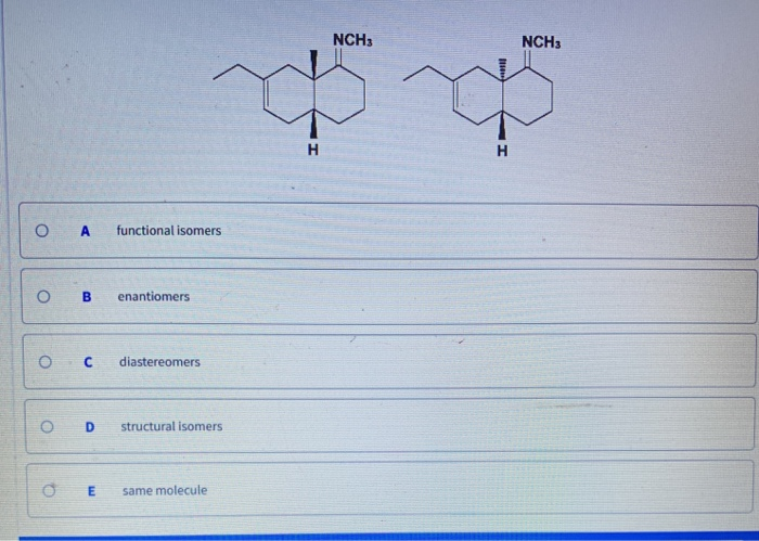 Solved NCH3 NCH3 O A functional isomers O B enantiomers O C | Chegg.com
