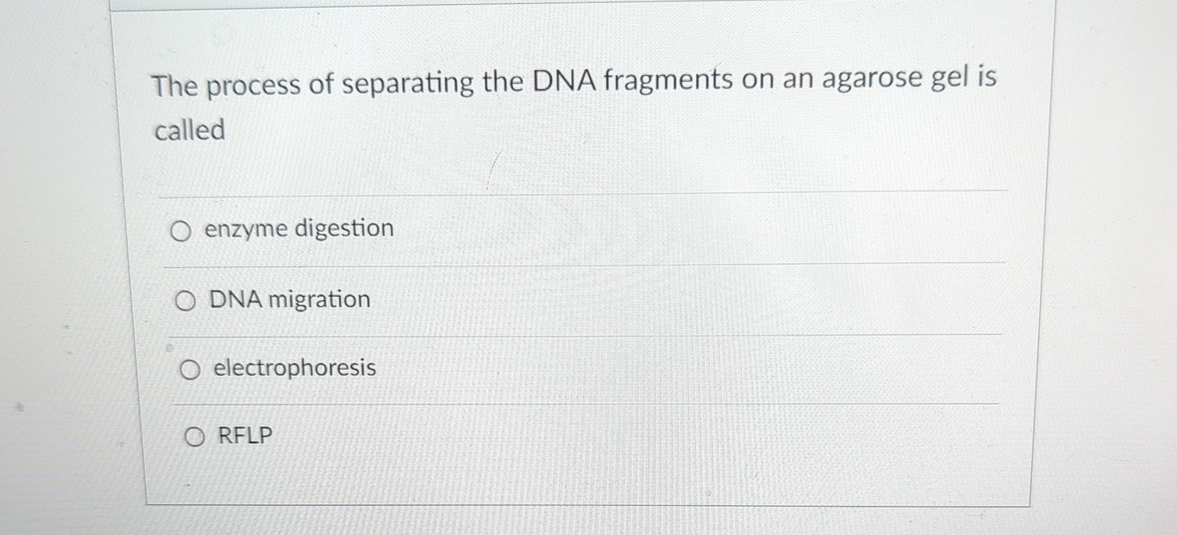 Solved The process of separating the DNA fragments on an | Chegg.com