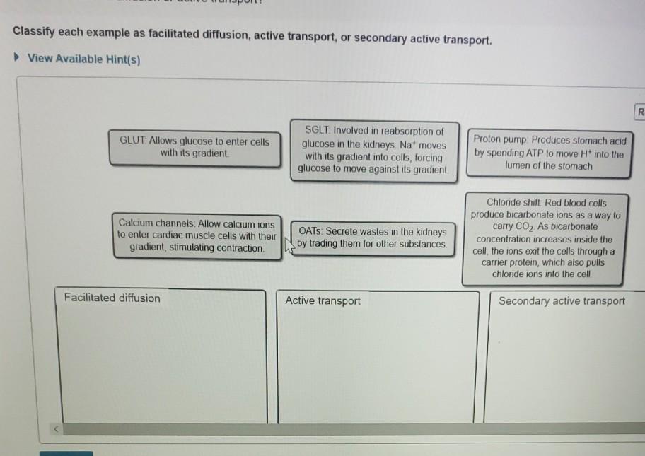 Solved Classify each example as facilitated diffusion, | Chegg.com