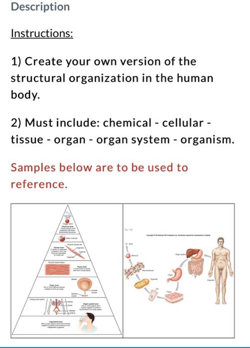 Solved Description Instructions: 1) Create your own version | Chegg.com