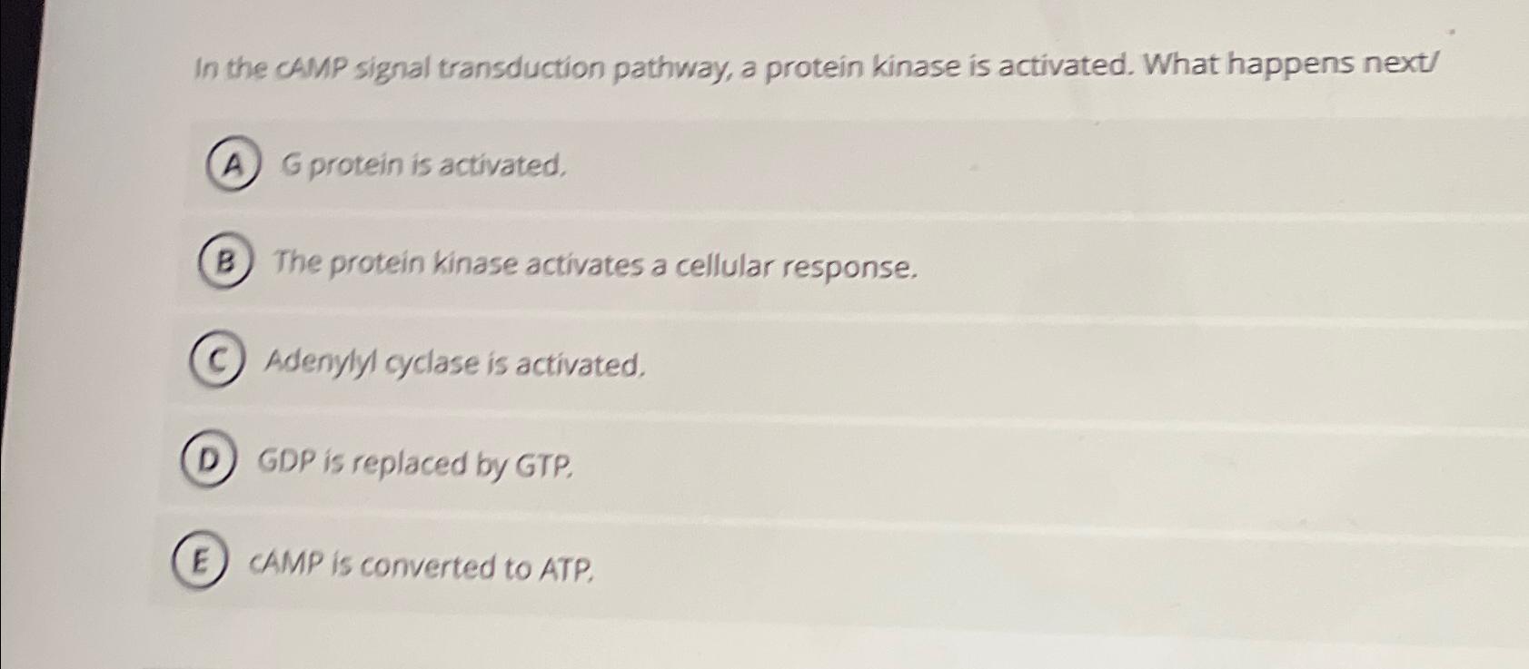 Solved In the CAMP signal transduction pathway, a protein | Chegg.com
