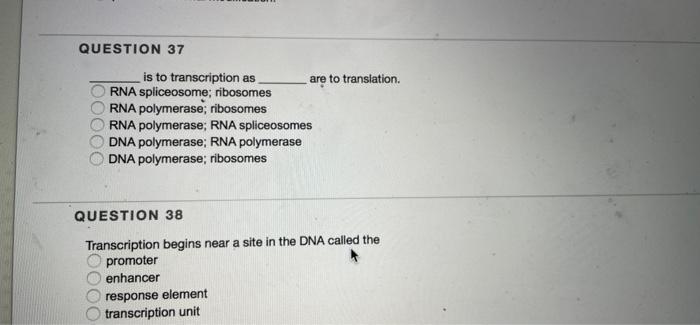 Solved QUESTION 37 is to transcription as RNA spliceosome; | Chegg.com