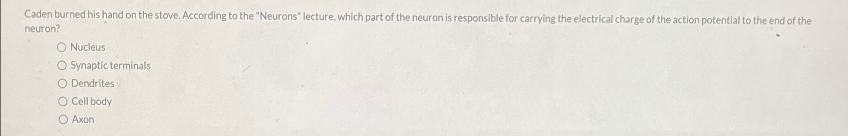 Solved Caden burned his hand on the stove. According to the | Chegg.com