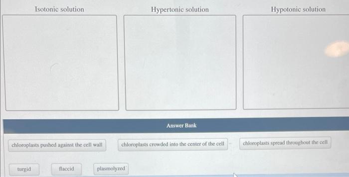 Solved Isotonic solution Hypertonic solution Hypotonic | Chegg.com