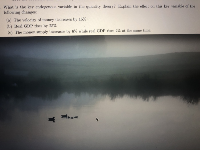 Solved What is the key endogenous variable in the quantity | Chegg.com