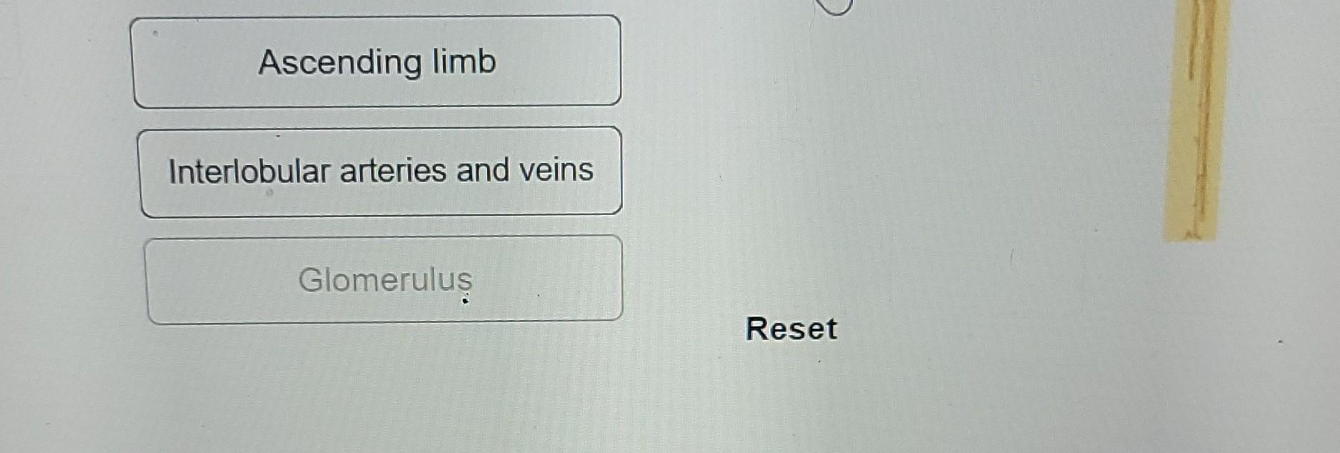 Solved Identify whether each item is a section of the | Chegg.com