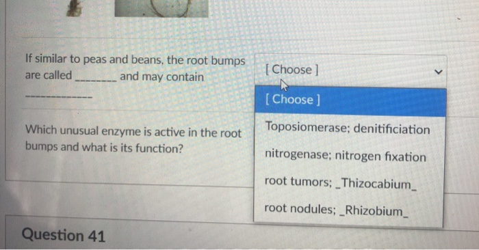 Solved Legume root bumps: You are exploring the forests of | Chegg.com