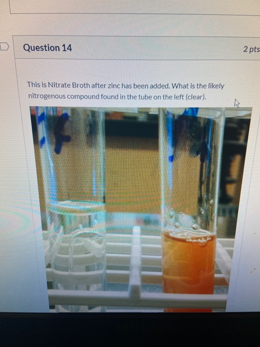 Solved Question 12 2 pts Below are the results of the | Chegg.com