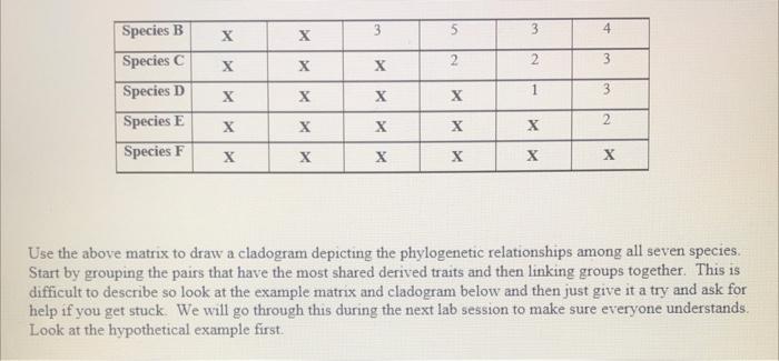 Solved Use the above matrix to draw a cladogram depicting | Chegg.com