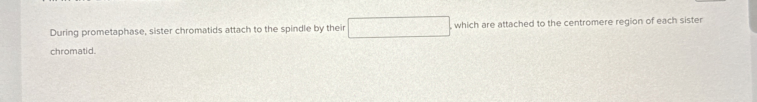Solved During prometaphase, sister chromatids attach to the | Chegg.com