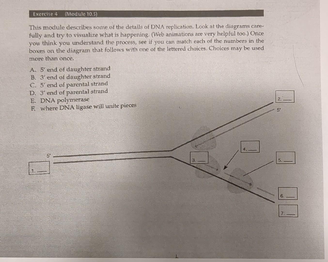 Solved Exercise 4 (Module 10.5) This module describes some | Chegg.com