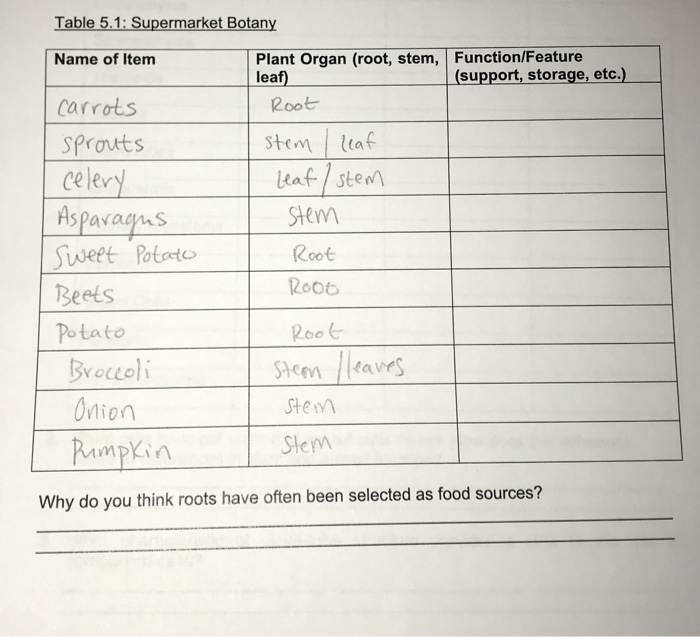 Solved Table 5.1: Supermarket Botany Name of Item Plant | Chegg.com