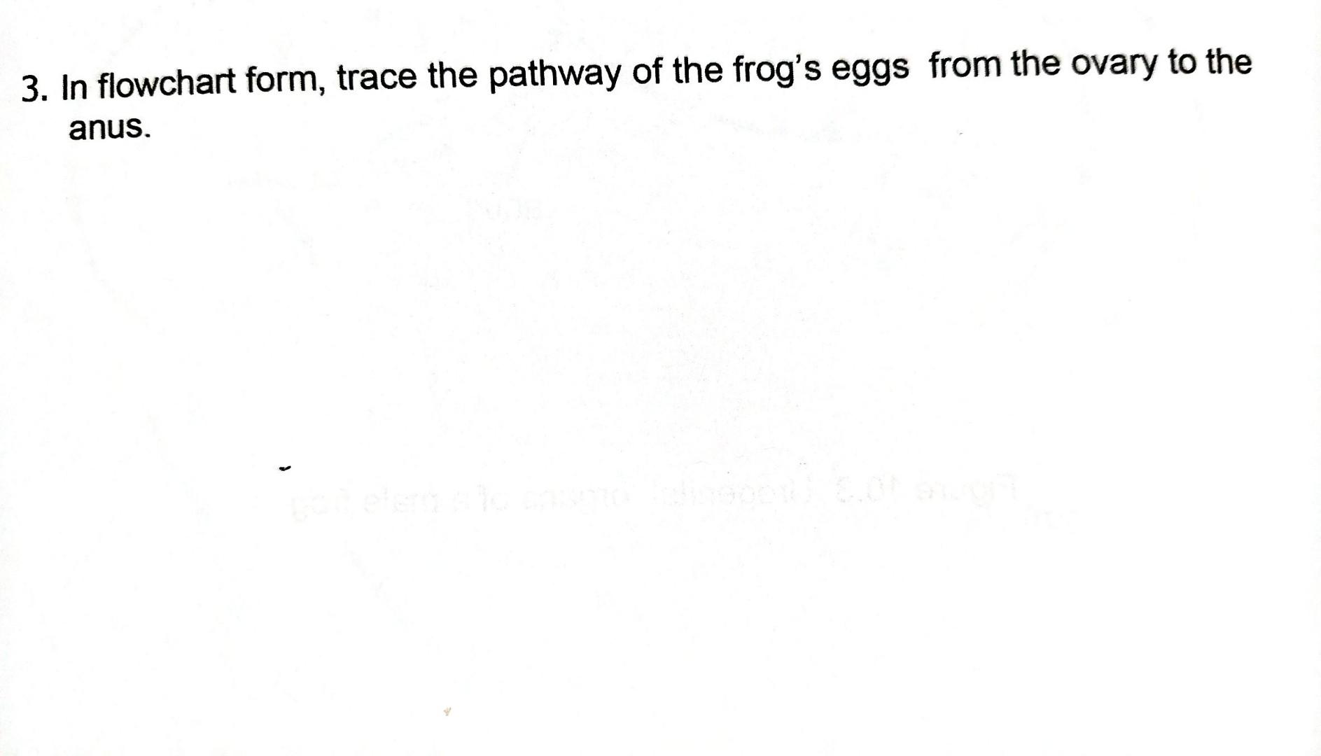 Solved 3. In flowchart form, trace the pathway of the frog's | Chegg.com