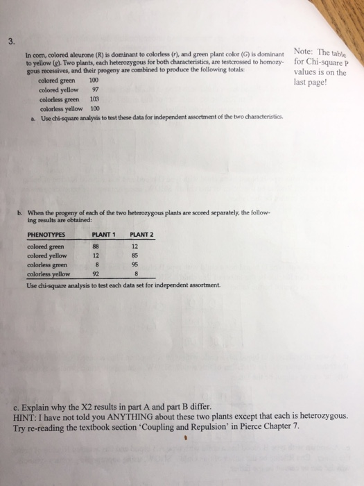 Solved In com, colored aleurone (R) is dominato colorless | Chegg.com