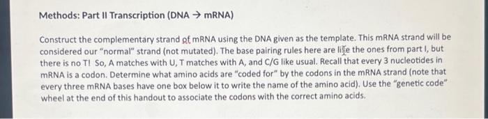 Solved Methods: Part II Transcription (DNA → mRNA) Construct | Chegg.com