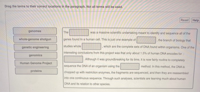 Solved Drag The Terms To Their Correct Locations In The