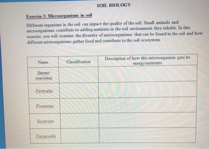 Solved SOIL BIOLOGY Exercise 3: Microorganisms in soil | Chegg.com