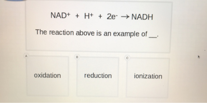 Solved NAD+ + H+ + 2e + NADH The reaction above is an | Chegg.com