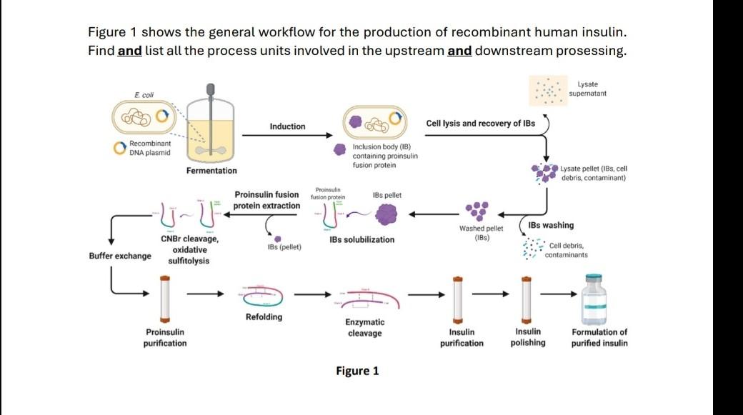 Solved Figure 1 shows the general workflow for the | Chegg.com