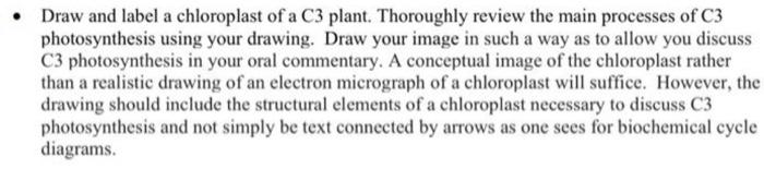 Solved - Draw and label a chloroplast of a C3 plant. | Chegg.com