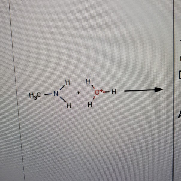 Solved Draw both the conjugate acid and conjugate base of | Chegg.com Solved Draw both the conjugate acid and conjugate base of | Chegg.com