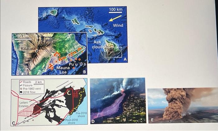 Solved Given what you see in Image D, does the lava display | Chegg.com