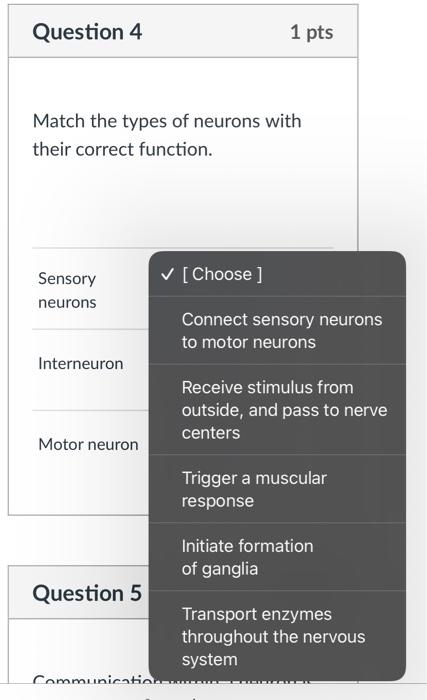 Solved Match the types of neurons with their correct | Chegg.com