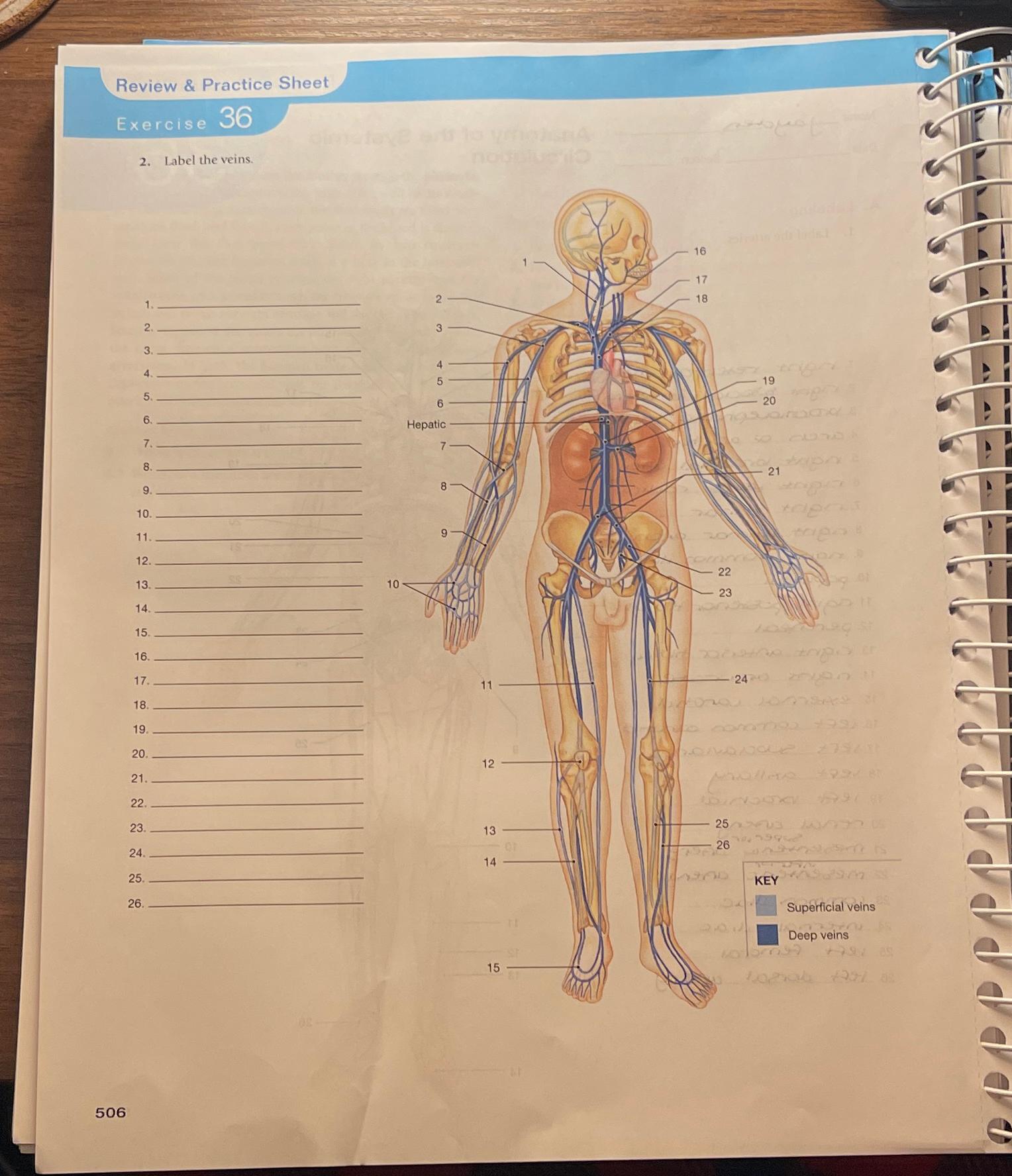 Solved Review & Practice SheetExercise 362. ﻿Label the | Chegg.com
