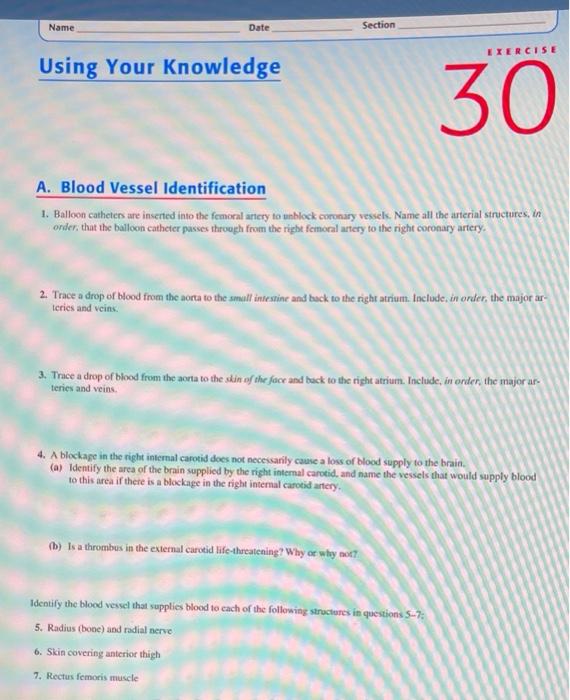 Solved Name Date Section EXERCISE Using Your Knowledge 30 A. | Chegg.com