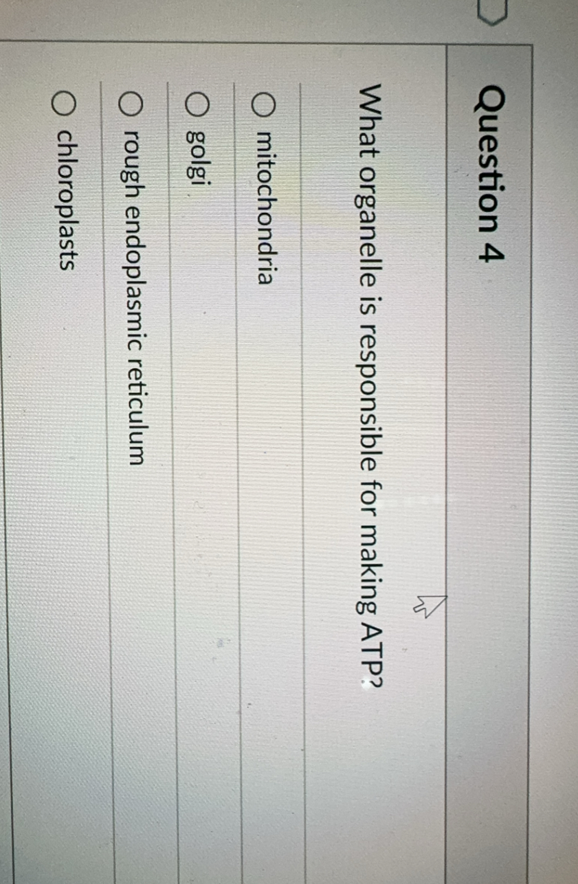 Solved Question 4What organelle is responsible for making | Chegg.com