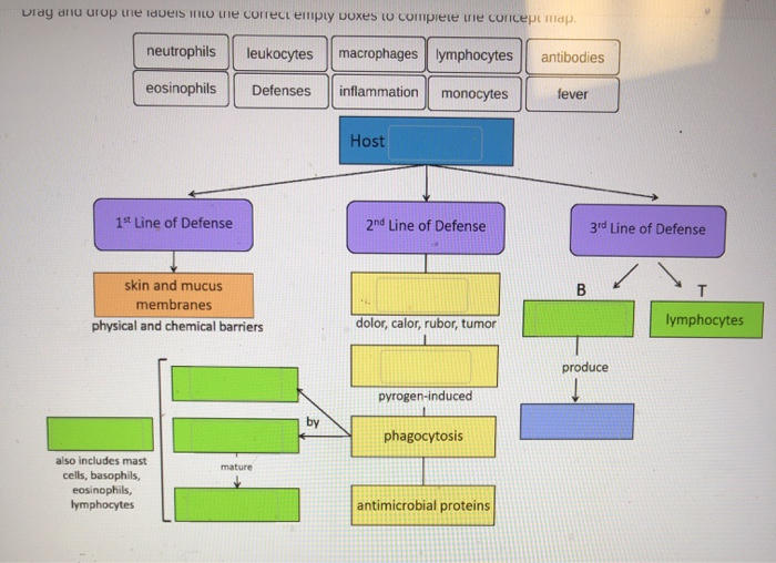 Biology Recent Questions | Chegg.com