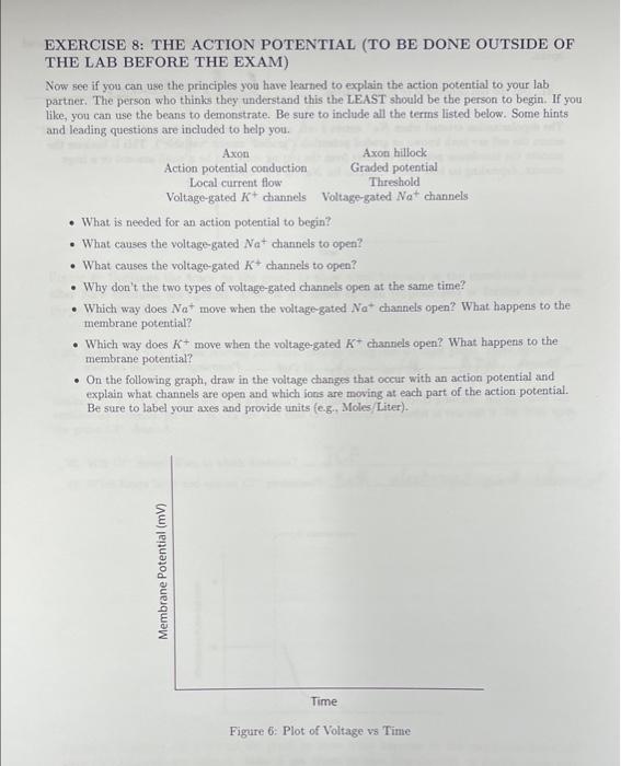 Solved EXERCISE 8: THE ACTION POTENTIAL (TO BE DONE OUTSIDE | Chegg.com