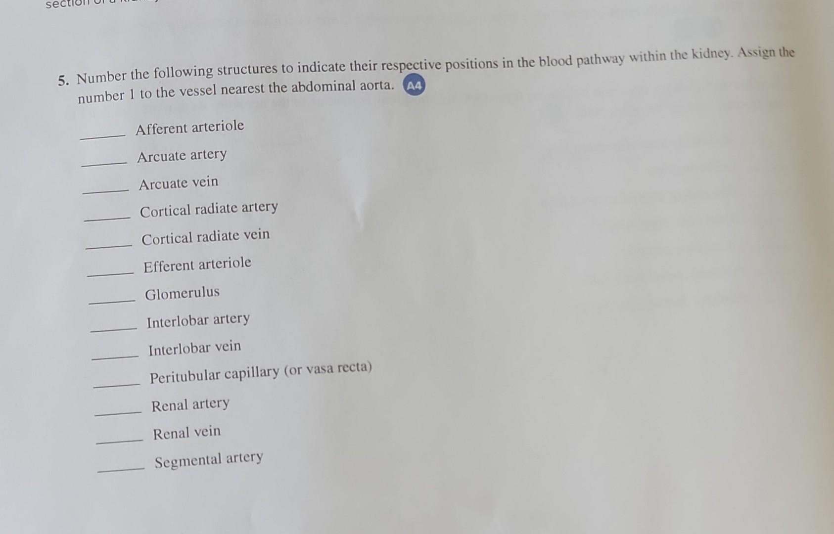 Solved 5. Number the following structures to indicate their | Chegg.com