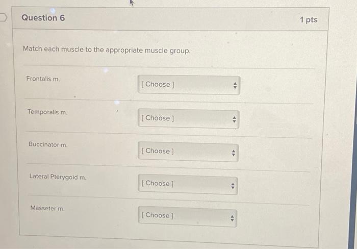 Solved Question 6 Match each muscle to the appropriate | Chegg.com
