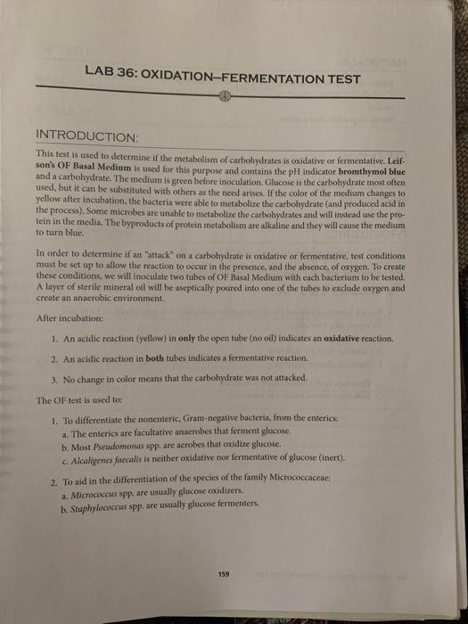 LAB 36: OXIDATION-FERMENTATION TEST INTRODUCTION: | Chegg.com